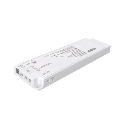 China LETARON Constant Voltage Led Driver 30W 120Vac To 24Vdc, LED Power Supply for Under Cabinet Light for sale