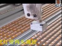 China LED Strip Light Auto Glue Machine Dispenser With Daheng Plunger Pump for sale