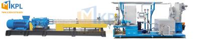 China PP PE Plastic Polyolefin Underwater Pelletizer Machine Polymer Compounding Customizable for sale