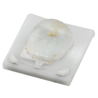 China ELSW-E81B3-0LPNM-DB6B8 for sale