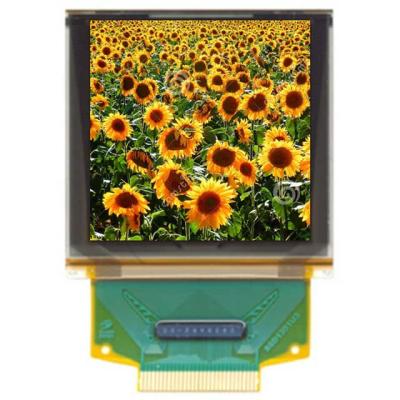 China AOC128128A0-1.50W for sale