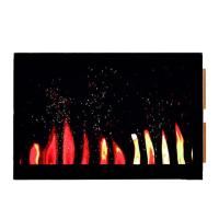 China LCD132- 070CTL1ARNTTR1.1 for sale