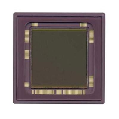 China NOIL1SM4000A-GDC for sale