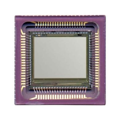 China CYII5SM1300AB-QWC for sale