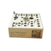 China SKiiP11NAB066V1 for sale