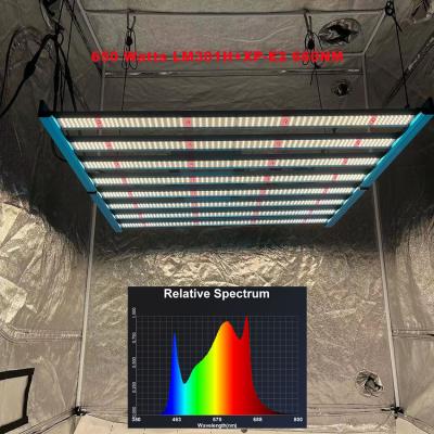 China LMK60E2-100M00SIAT for sale