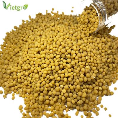 China NP2G+ for sale