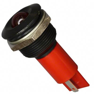 China Q19P1BXXR24E for sale