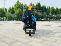 China Pure Electric Supply Garden Pesticide Motorized Spraying Agricultural Spray Trolley Pump Sprayer for sale