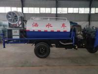 China Diesel 3 Cubic Small Green Truck for Site Dust Suppression with Fog Gun Spraying Capability for sale