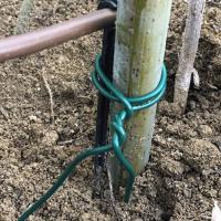 China 1mm 2mm Plastic PVC Coated Galvanized Steel Wire Rope Hanging Wire Garden for sale