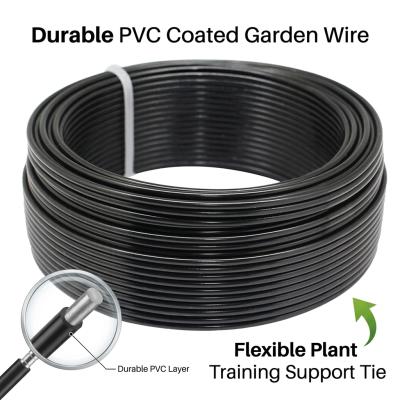 China Galvanized Bare Garden Wire 1.6mm 2.0mm 3.0mm High Tensile Coil for Fencing Trellis for sale