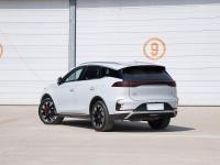 China DM Champion Edition Electrico Adultos Adult Electric Cars Byd Tang Electric Car SUV Plug in hybrid 218 HP for sale