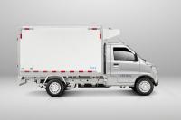 China Electric Carbing Bao 2.7T 2.77m Pure Electric Refrigerated Truck for sale