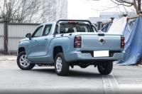 China Diamond Cannon SHANHAIPAO Great Wall 2024 2.0T Gasoline 8AT 4WD Pilot Flat Box GW4C20B for sale