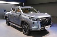 China 2025 Elite Extended Cab 4x4 Petrol 2.0T Enjoyment Edition for sale