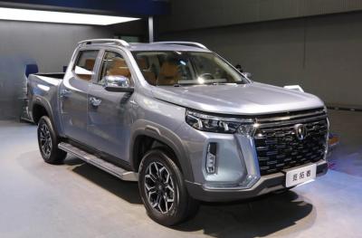 China 2025 Elite Extended Cab 4x4 Petrol 2.0T Enjoyment Edition for sale