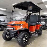 China 4 Seater Lift Gasoline Golf Cart With Special Ac Motor 4-7kw Kids for sale