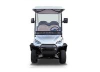China 2-seater and 2+2-seater Electric Golf Cart with 48V Power for Efficient Golf Course Navigation for sale