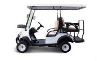 China 2-seater and 2+2-seater Electric Golf Cart with 48V Power for Efficient Golf Course Navigation for sale