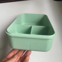 China Custom Plastic Insulated Lunch Box 250000-300000 Shots Mould Life Ningbo Precision for sale