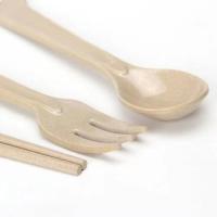 China Provides Customized Molds and Injection Molding Services for Glossy Plastic Products for sale
