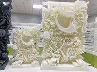 China Custom Resin Nylon 3D Printing Service for Oem 3D Printed Fabrics Design Software for sale