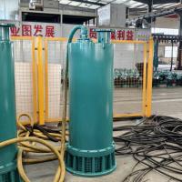 China Powerful And Reliable Explosion Proof Submersible Pumps 280kW 200hp 250m³/H 250m for sale