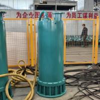 China Powerful And Reliable Explosion Proof Submersible Pumps 280kW 200hp 250m³/H 250m for sale