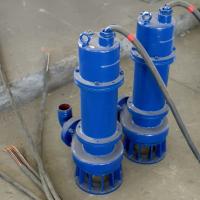China Portable Portable Submersible Sewage Pump Compact Lightweight And Ideal For Flood Drainage And Emergency Use for sale