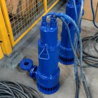 China 380/660 Or 660/1140 V Portable Submersible Sewage Pump 3000 R/Min for sale