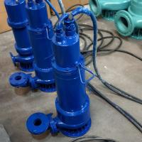 China 380/660 Or 660/1140 V Portable Submersible Sewage Pump 3000 R/Min for sale