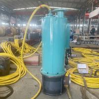 China Robust Explosion Proof Submersible Sump Pump BQS 45kW For Industrial Use for sale