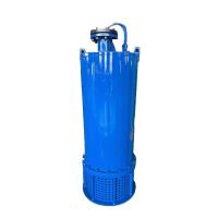 China WQB 132kw High  Power Industrial Explosion Proof Submersible Pumps Ultra Large Flow For Gas And Petrochemical Sewage Disposal for sale