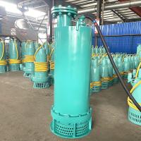 China High Capacity Ductile Iron Submersible Drainage Pumps BQS11kw  For Heavy Duty for sale