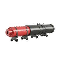 China BQ Series High Voltage Pump Explosion Proof Submersible Electric Pump 100 m³/h Rated flow for sale