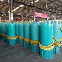 China 350m³/H ExdIIBT4/CT4 Explosion Proof Submersible Sump Pump 200m Head 315kw for sale