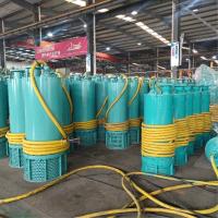 China BQS 55kW Explosion Proof Submersible Pumps Durable And Efficient Performance For Challenging Environments for sale