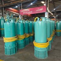 China Reliable BQS 55kW Explosion Proof Submersible Pump For Mining And Oil Extraction Operations for sale