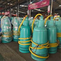 China 22m³/H 22m 4kw 1hp-10hp Portable Submersible Pump For Agricultural Use for sale