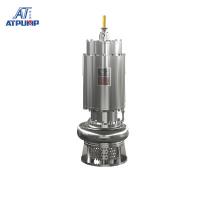 China 304/316/316L Duplex Submersible Stainless Steel Pumps 380/660 or 660/1140 V for sale