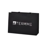 China 190gsm Custom Paper Bags With Handles 1 Inch Silver Hot Stamping Logo for sale