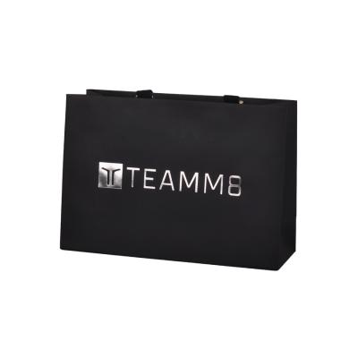 China 190gsm Custom Paper Bags With Handles 1 Inch Silver Hot Stamping Logo for sale