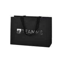 China 190gsm Custom Paper Bags With Handles 1 Inch Silver Hot Stamping Logo for sale