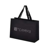 China 190gsm Custom Paper Bags With Handles 1 Inch Silver Hot Stamping Logo for sale