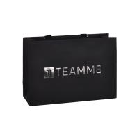 China 190gsm Custom Paper Bags With Handles 1 Inch Silver Hot Stamping Logo for sale