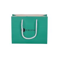 China 210gsm Coated Paper Packaging Bags For Clothing Gifts Groceries for sale