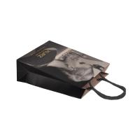 China 190gsm Artpaper Paper Carrier Bags With Twisted Handles Eco Friendly for sale