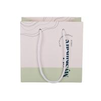 China Shopping Custom Printed Paper Bags Art Paper Matte Lamination With Nylon Rope Handle for sale