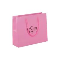 China Glossy Lamination Coated Paper Bags Packaging Cosmetic With Handle for sale